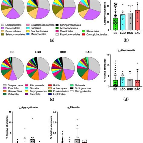 A Pie Charts Representing The Relative Abundance Of The Main Orders Download Scientific