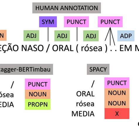 Human Annotation And Model Output For A Sample Pos Tagged Sentence
