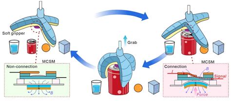 Journal Publications