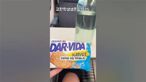 스위스 교환학생 생존일기 15 Youtube