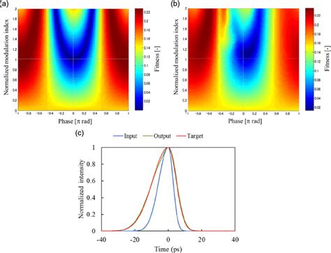simulation results for the temporal magnification of the pulse waveform
