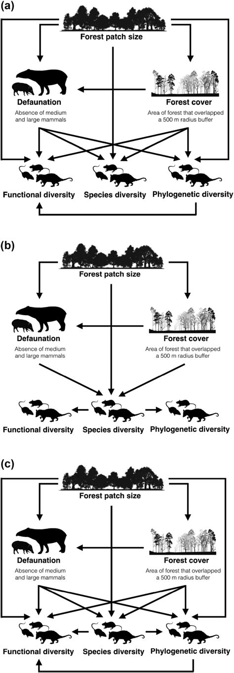Schematic Representation Of Structural Equation Models Sem Figures Download Scientific