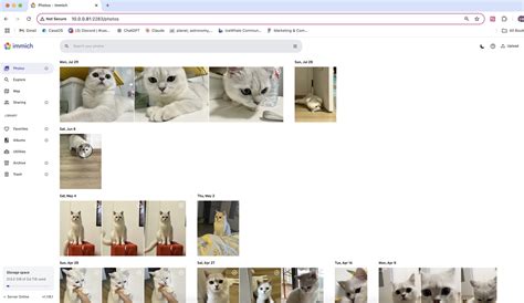 Immich S Guide Step By Step To Efficient Photo Backup Zimaspace Docs
