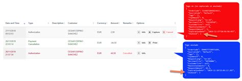 Virtual Payment Issue VivaPayments API GitHub