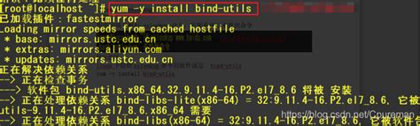 linux安装nslookup linux bash nslookup 未找到命令 csdn博客