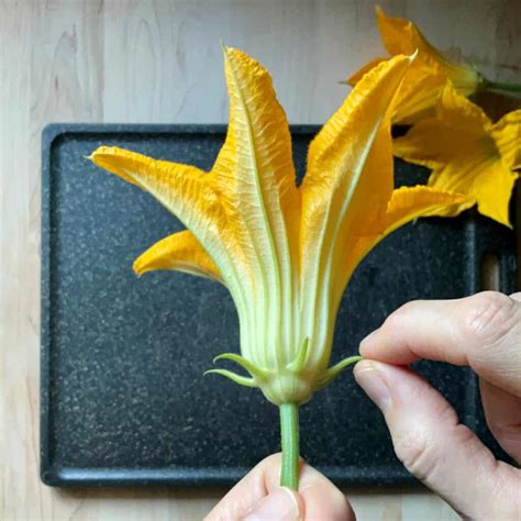 Baked Stuffed Zucchini Flowers With Ricotta She Loves Biscotti