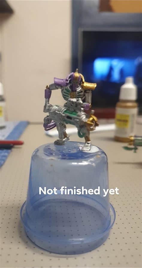 Assembled And Painted My First Minis Nercon Immortals Rminipainting