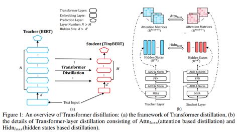 Nl 050 Tinybert Distilling Bert For Natural Language Understanding 2019 Arxiv