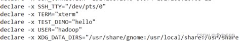 linux配置环境变量 服务器配置环境变量 csdn博客