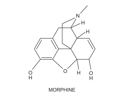 Morphine Chemical Molecular Structure Icon Medical Opioid Drug Formula Alkaloid With Analgesic