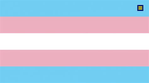 🔥 [50 ] Trans Flag Wallpapers Wallpapersafari