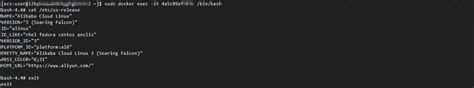 在容器（docker）中使用alibaba cloud linux镜像 alibaba cloud linux alinux 阿里云帮助中心