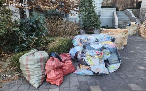 서울시 내 손안에 서울