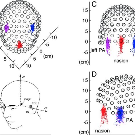 Head Positions Relative To The Sensor Array As Measured During A Download Scientific Diagram
