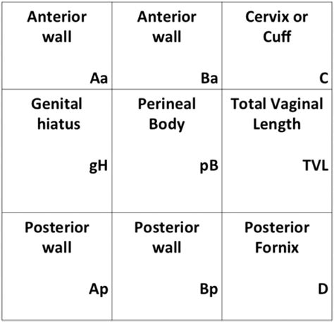 Grid Presentation Of Pop Q Measurements Download Scientific Diagram