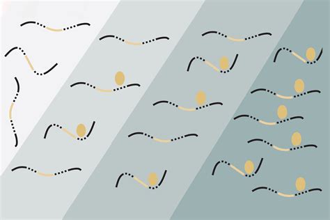 New Gene Regulation Model Provides Insight Into Brain Development Mit News Topic News