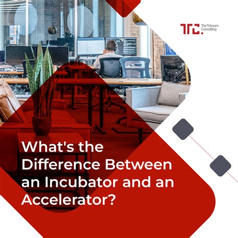 what s the difference between an incubator and an accelerator