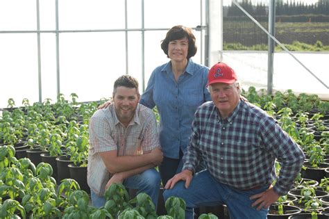 About Ratto Farms