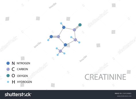 Creatinine Molecular Skeletal 3d Chemical Formula Stock Vector Royalty Free 2165144881
