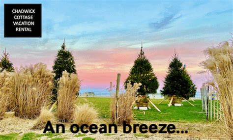 An Ocean Breeze Puts Your Mind At Ease S Find And Share On Giphy