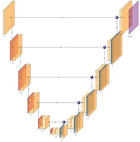 visual representation of the u net network download scientific diagram