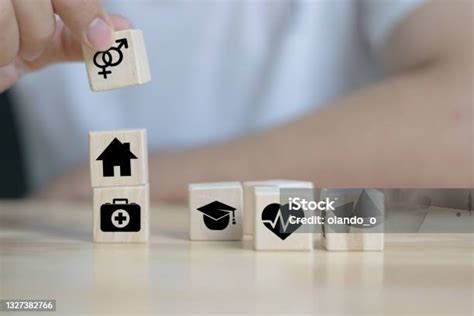 아이콘 교육 건강 주거 성별 기본적인 인간의 필요 개념과 인간의 손 퍼팅 큐브 나무 감기와 독감에 대한 스톡 사진 및 기타 이미지 Istock