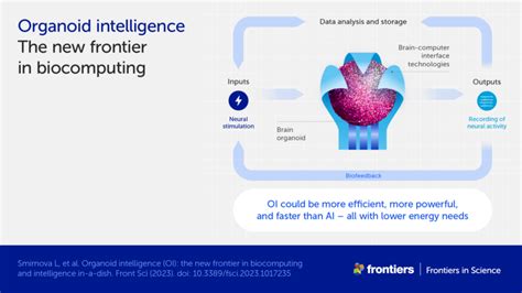 Organoid Intelligence A New Biocomputing Frontier