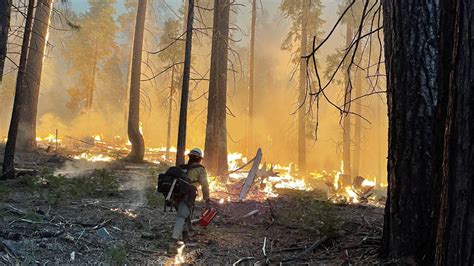 Хиляди евакуирани заради пожари във Франция Новини бг