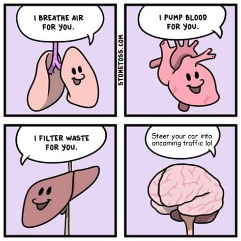 The Best Organs Memes Memedroid