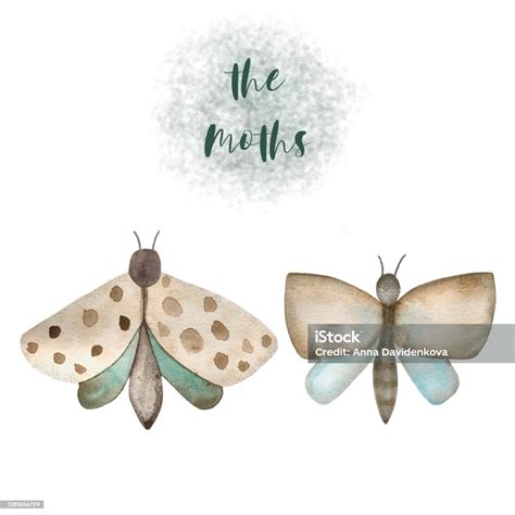 나방 나비의 수채화 그림 수채화로 손으로 그린 모든 유형의 디자인 및 인쇄에 적합합니다 건조한에 대한 스톡 벡터 아트 및 기타 이미지 건조한 곤충 교미 Istock