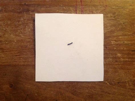 How To Make A Pocket Sized Secret Code Decoder Wheel 7 Steps Instructables