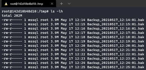 Automate Backup Database SQL Server In Docker Container NET Thailand