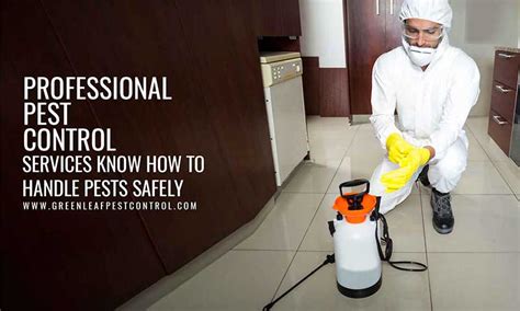 The Importance Of Proactive Pest Management Greenleaf