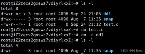【linux探索学习】第一弹——linux的基本指令（上）——开启linux学习第一篇 Csdn博客