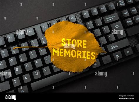 Sign Displaying Store Memories Business Overview A Process Of Inputting And Storing Data