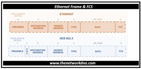 CCNA RnS Ethernet Frame Type FCS Field The Network DNA