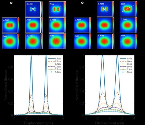 4 A Simulation Of Four Fiber Transvaginal Probe Output Fluence In Download Scientific
