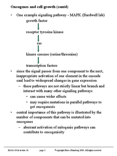 Bio Sci 145 A Lecture 18 Oncogenes And