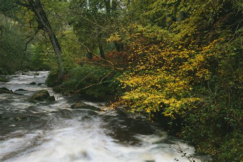 A Walk To Thomason Foss Waterfalls Self Catering Holiday Cottages In Yorkshire