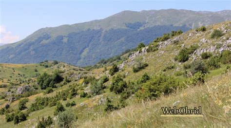 Пронајдени две лица од Радолишта кои се загубиле на Галичица • Webohrid