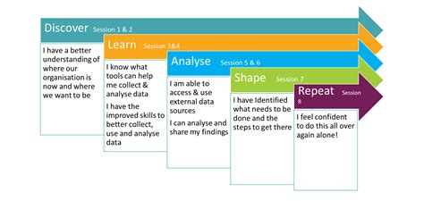 Data Cohort Programme Datawise London