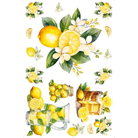 Transfer De Imagem Big Coleção Limões Litoarte