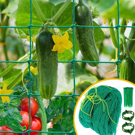 Buy Garden Trellis Netting For Climbing S Outdoor 66x164 Ft Netting For Cucumber Tomato 27 Buy Garden Trellis Netting For Climbing S Outdoor 66x164 Ft Netting For Cucumber Tomato 27