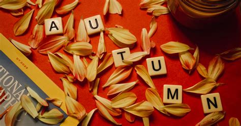 실내 가을 가을 색 가을 장식 가을의 분위기 계절 계절 장식 계절적 분위기 구석을 읽고 꽃 무늬 꽃잎 난색 노란 꽃잎 단어 단어 타일 단풍