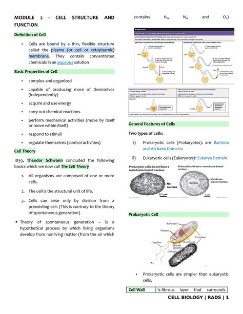 Cell Structure And Function MODULE CELL STRUCTURE AND FUNCTION Definition Of Cell Cells