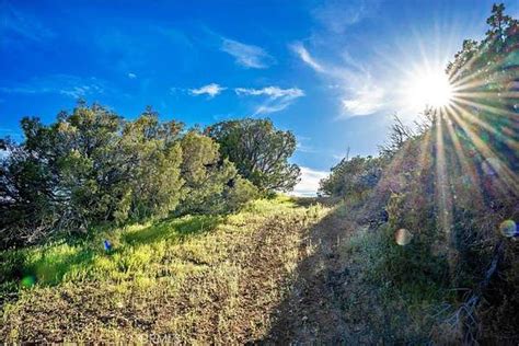 116 Acres Of Agricultural And Residential Land For Sale In Leona Valley