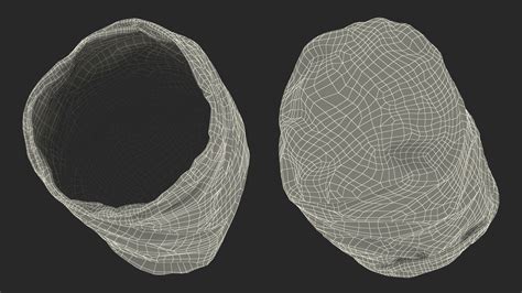 Open Black Trash Bag 3d Model 29 3ds Blend C4d Fbx Max Ma Lxo