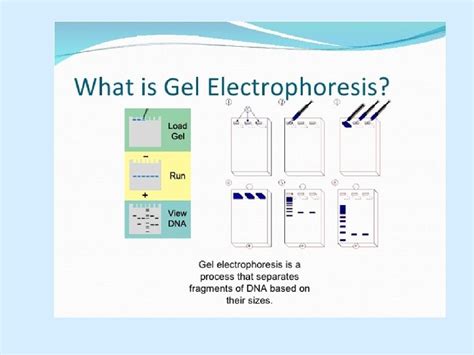 3 Gas Chromatographygc 7 Th Lecture Gc Is
