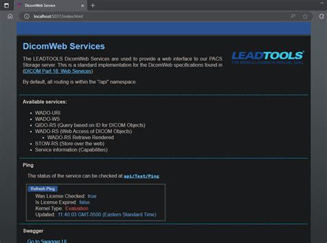 Configure And Run The LEADTOOLS Medical Web Viewer React JS